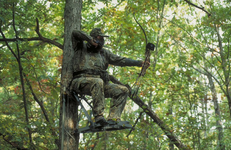 Missouri hunters reminded to remove tree stands on MDC areas by Feb. 1 ...