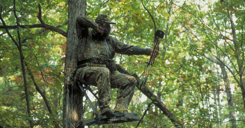 Missouri hunters reminded to remove tree stands on MDC areas by Feb. 1 ...