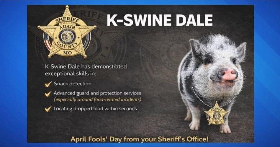 Adair County Sheriff’s Office adds pig to staff - April Fools! | Local ...