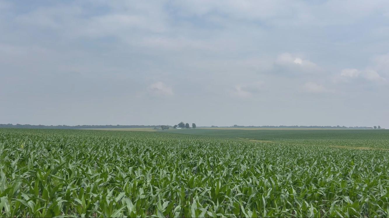 Iowa farmers make strong planting progress as corn, soybean crops ...