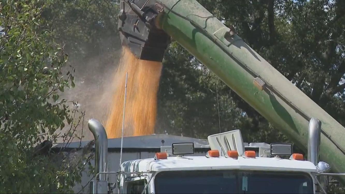 Iowa Secretary of Agriculture Mike Naig advocates for year-round E-15 ...