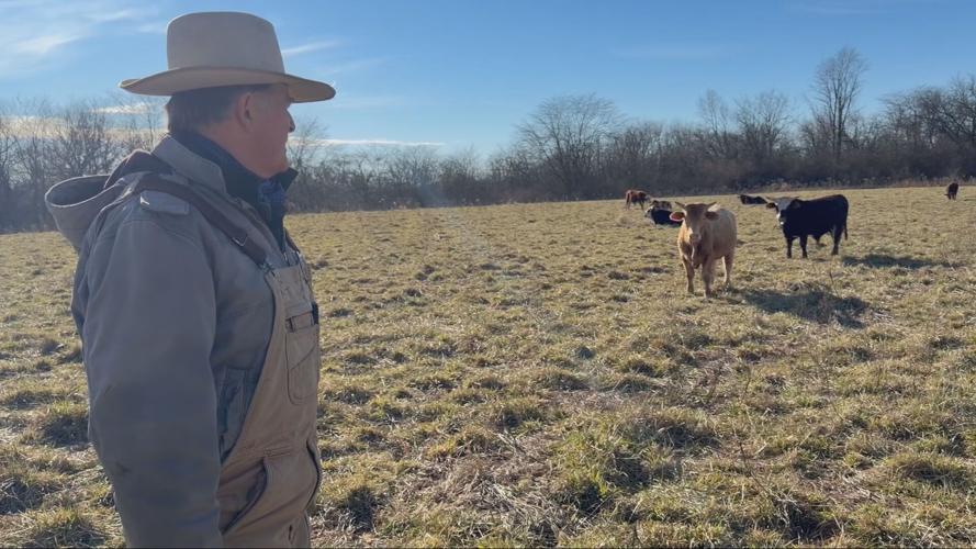 Illinois rancher revolutionizes cattle farming with holistic, low-cost ...