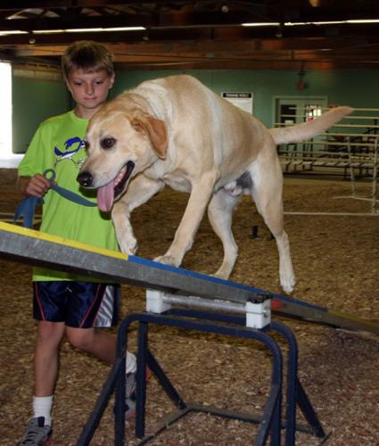Kids learn life skills from dog training endeavors