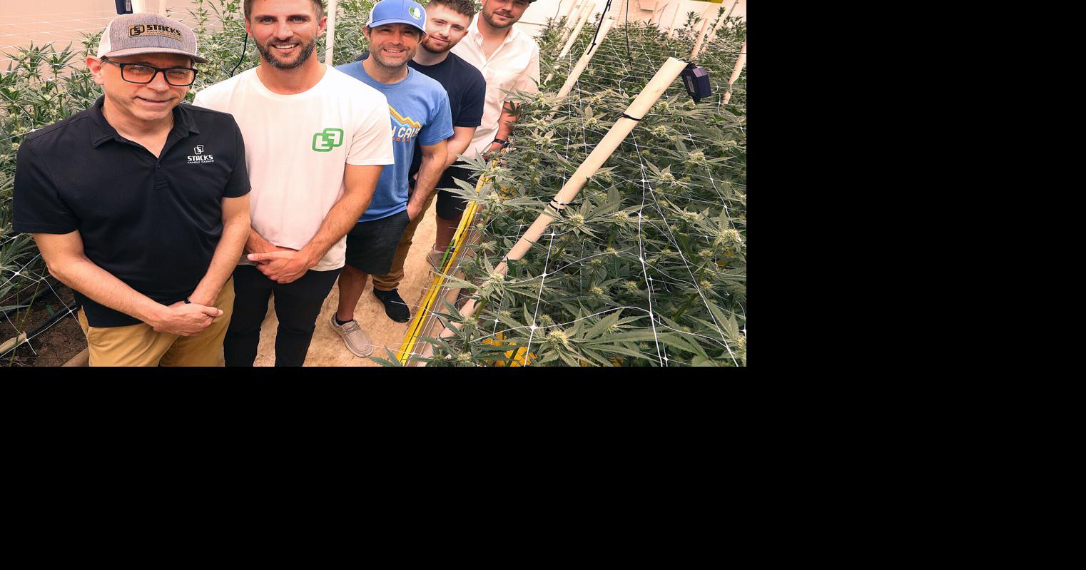 Steve Cahalan: Sensi Co. launches THC-infused seltzer