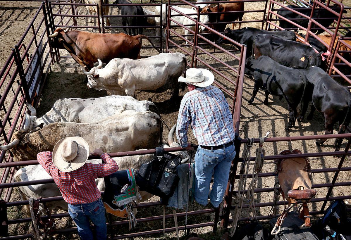 Little Britches of Wisconsin Rodeo finals draw 179 competitors from ...