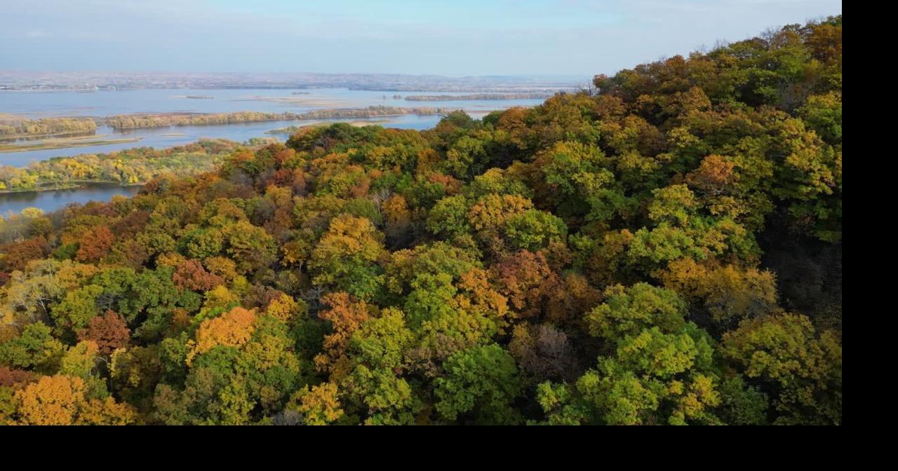 Richard Kyte: Hunting for quiet