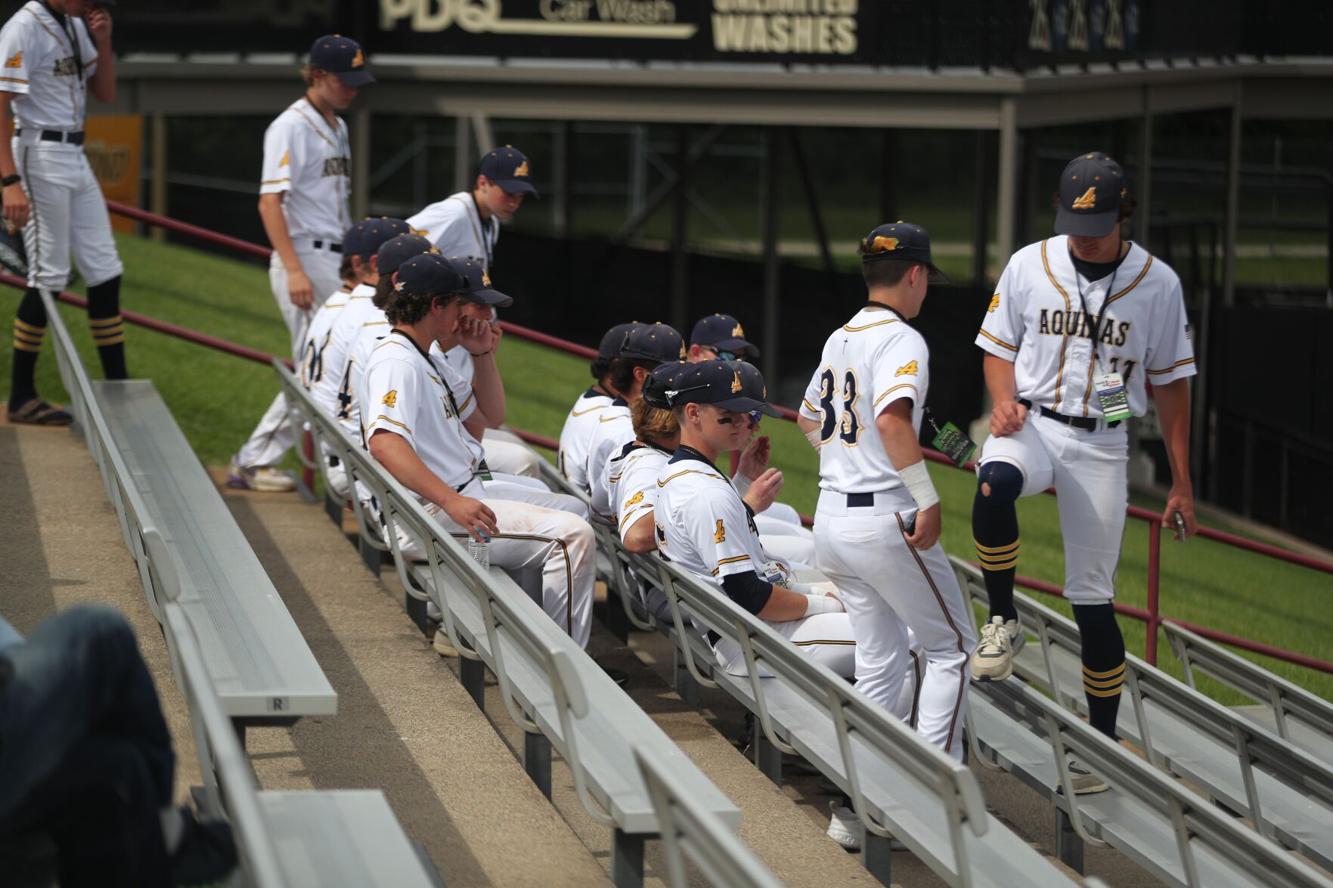 Scenes from Aquinas vs. Cumberland WIAA state baseball
