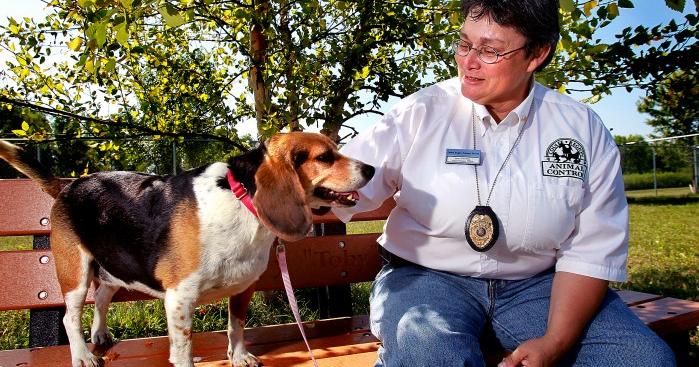 Animal control job about patience, education