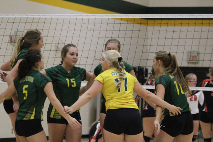 Mel-Min volleyball stacked for competition this year