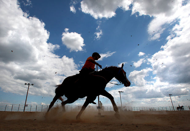 Houston County Fair offers generations of fun