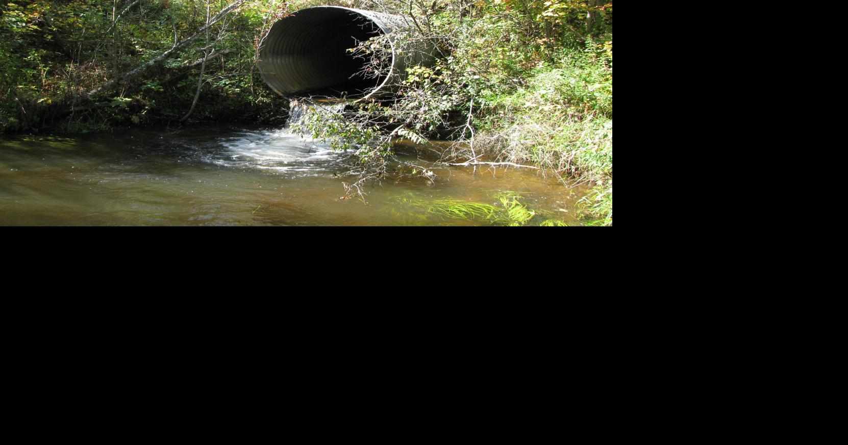 'Perched' culverts big hurdles for Jackson County trout