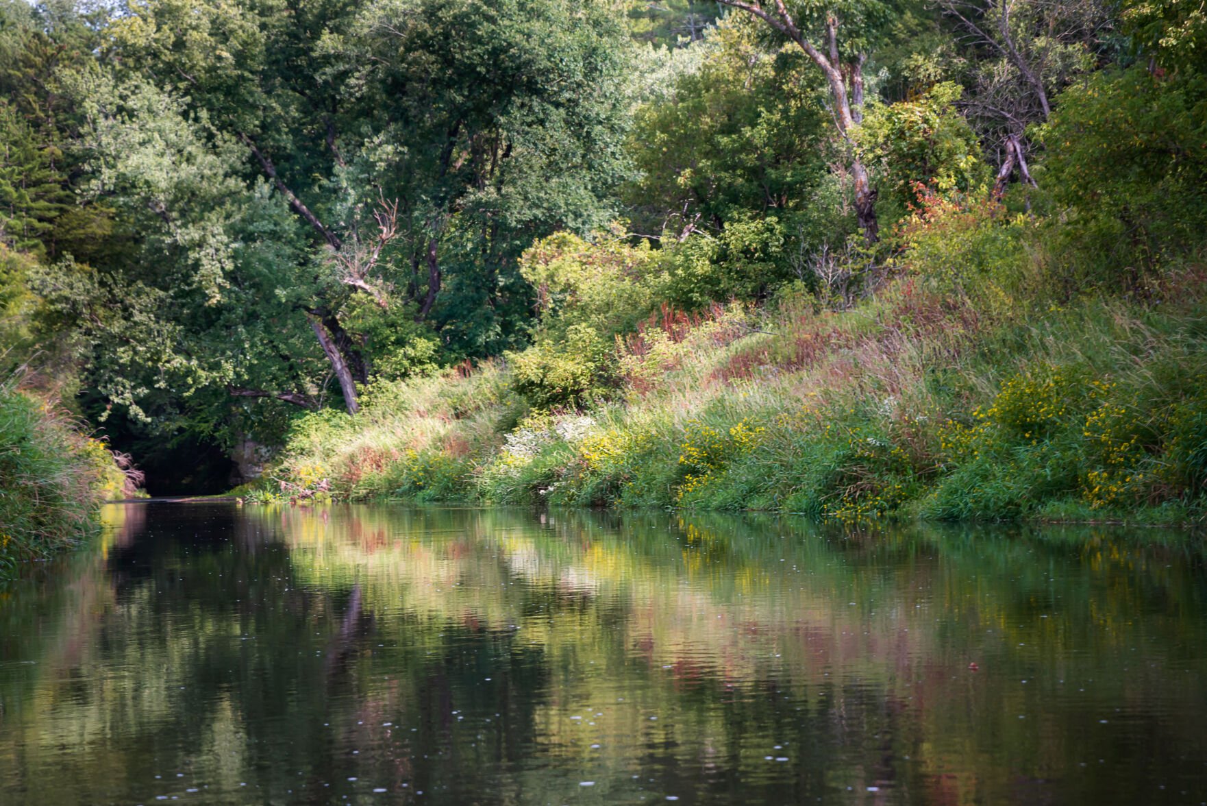 Mississippi Valley Conservancy purchases 17 acres adjacent to Kickapoo ...