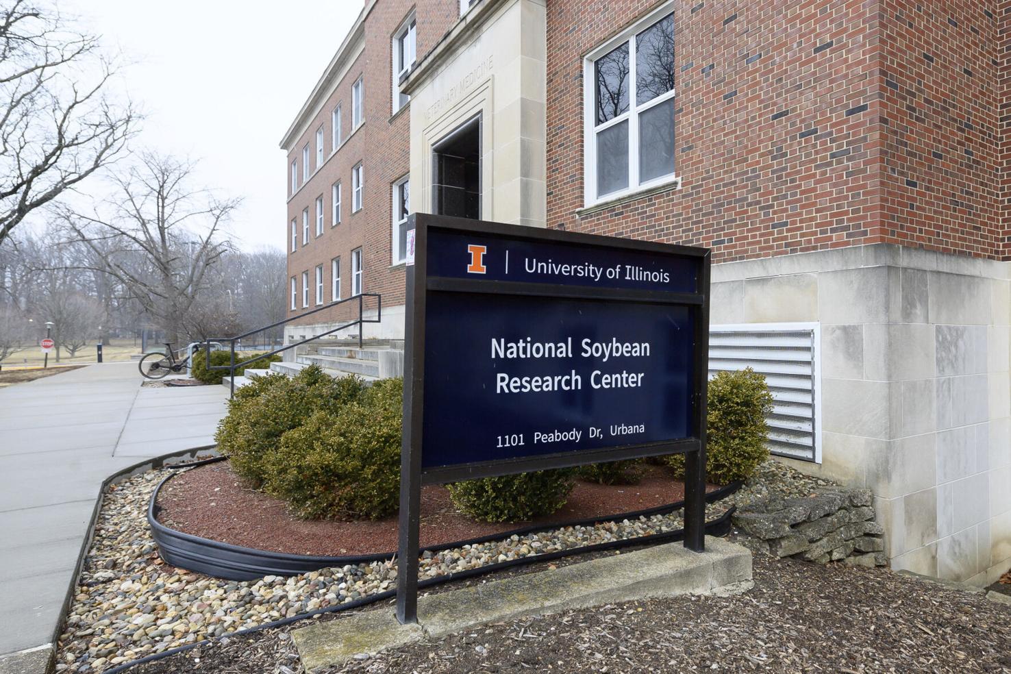 Trump-USAID-American Impact