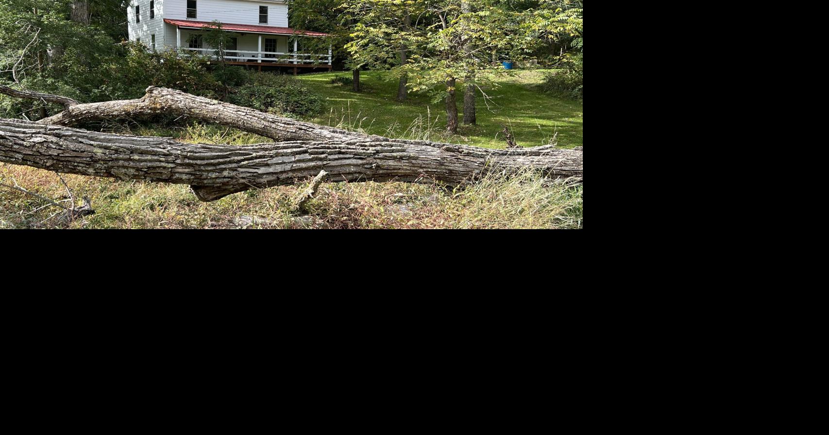 Protected wildlife corridor along Kickapoo River expands south of Gays ...