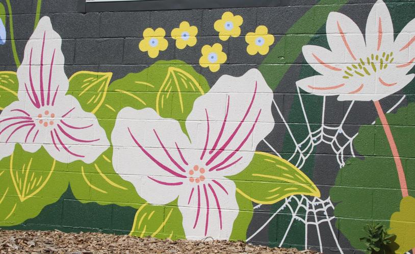 Viroqua to celebrate its newest mural with a reception honoring the ...