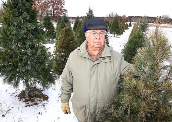 Christmas tree grower looks forward to Friday
