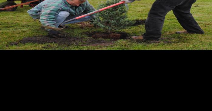 Toro plants 100 trees for a 100 years