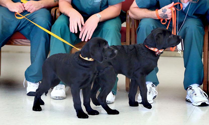 Inmates at Jackson County Correctional Institute find purpose in ...