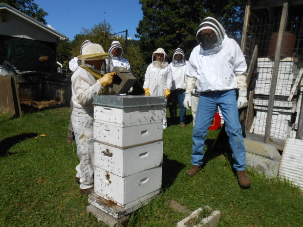 Area experts to offer beekeeping class