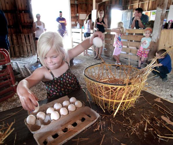 Houston County Fair offers generations of fun