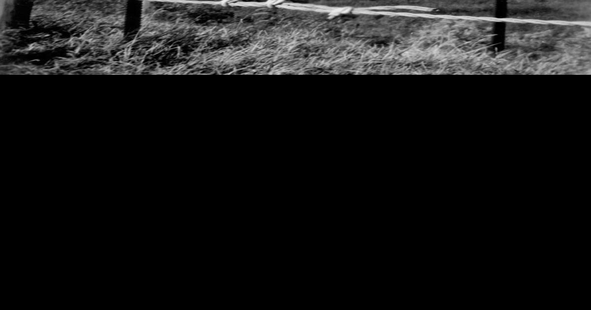 The Way it Was: La Crescent city-limits sign circa 1930s