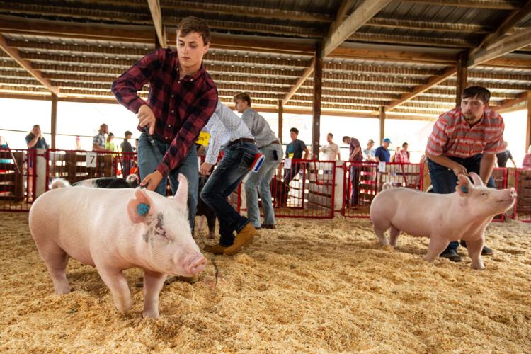 La Crosse Interstate Fair expects nearly 20,000 attendees