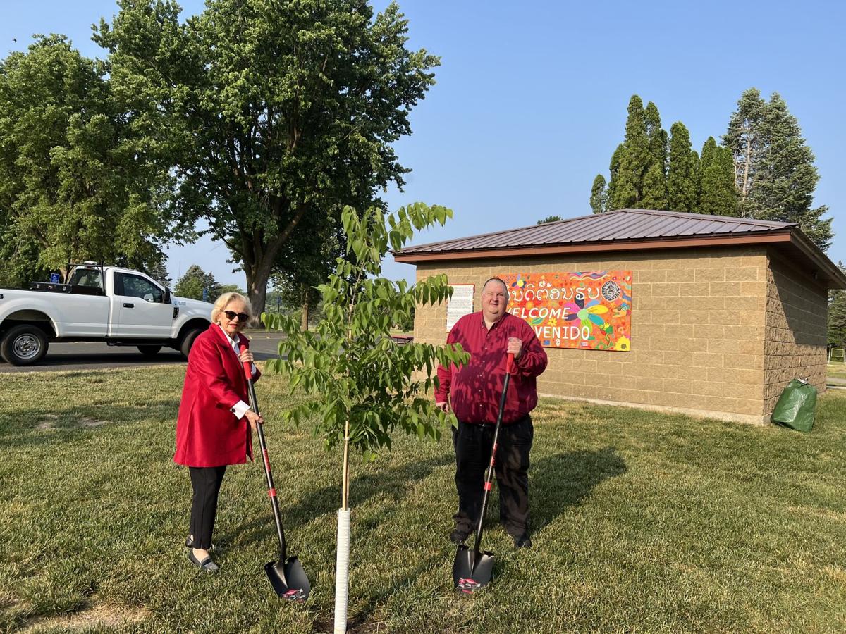 Project FINE plants tree in recognition of World Refugee Day