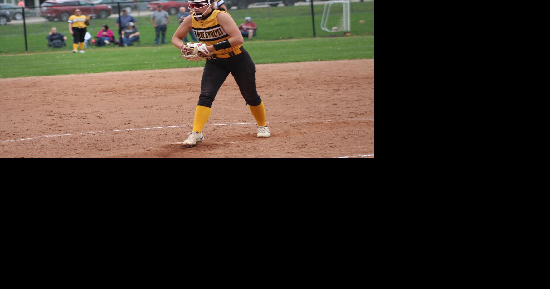 High school softball roundup: Maddie Johnson no-hits Logan for first ...