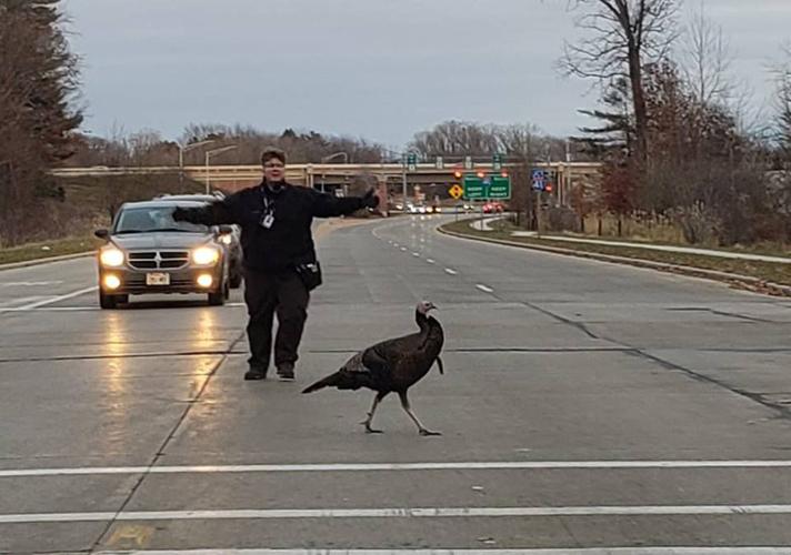 Emily Pyrek: No fowling around, Smoke the Turkey rules the roost as ...