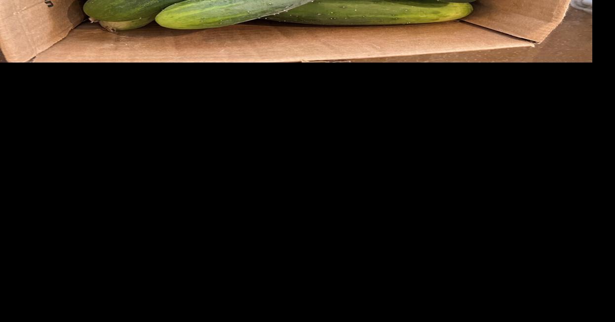 Chris Hardie: Cucumbers meeting the grade