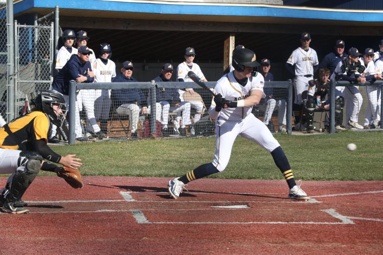 La Crosse Aquinas' Peterson ready for regional finals