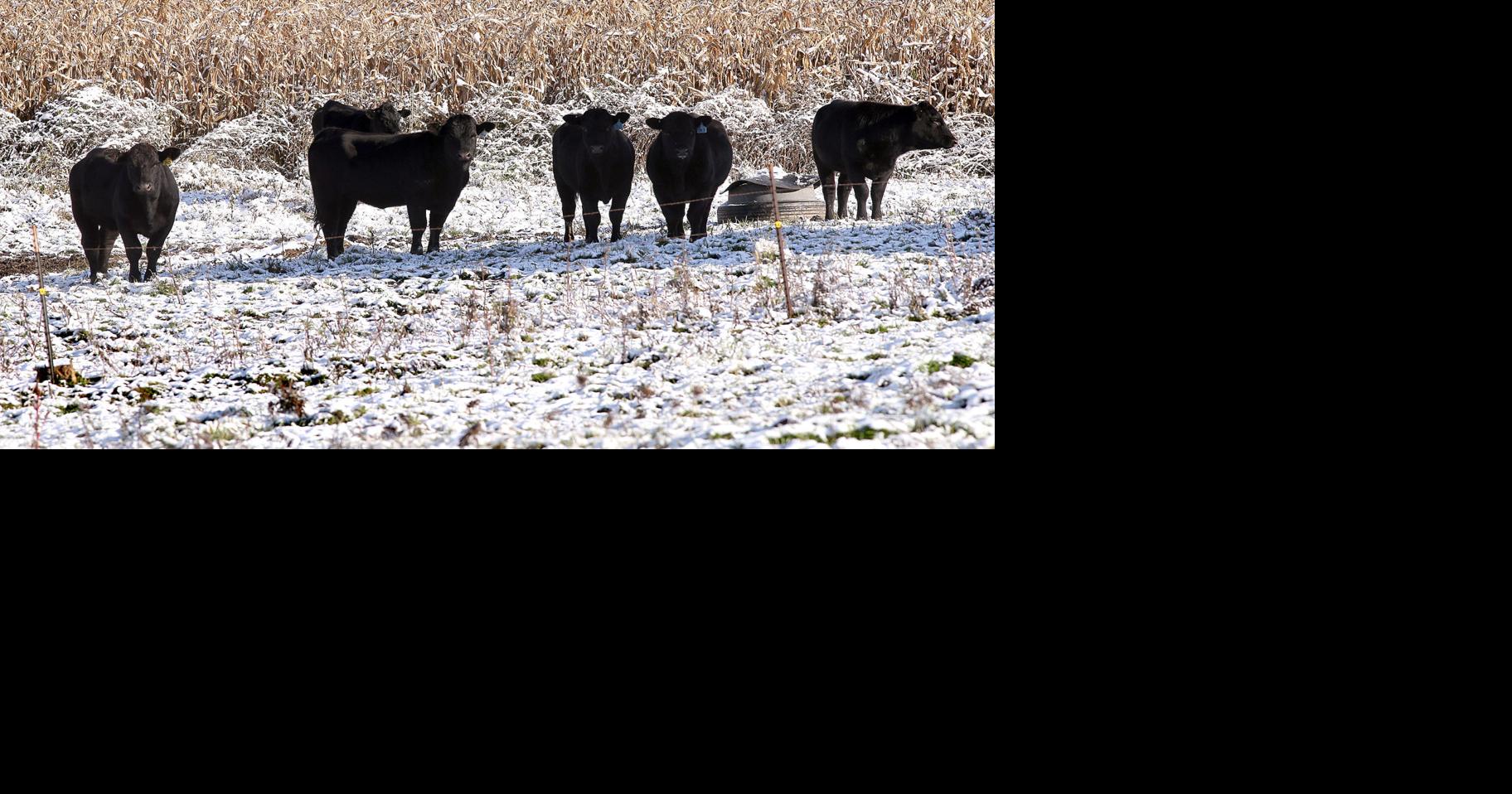 Snow accumulation possible in River Valley Region