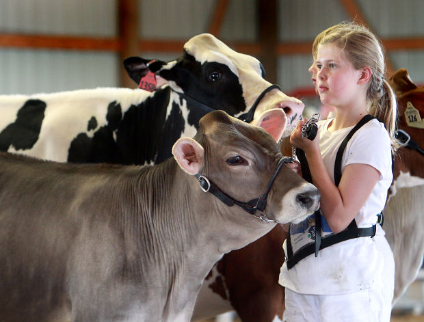 Houston County Fair offers generations of fun