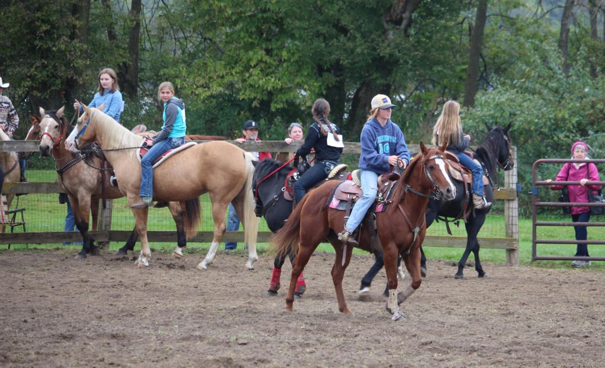Viola Horse and Colt Show to celebrate 92 years Sept. 22-23