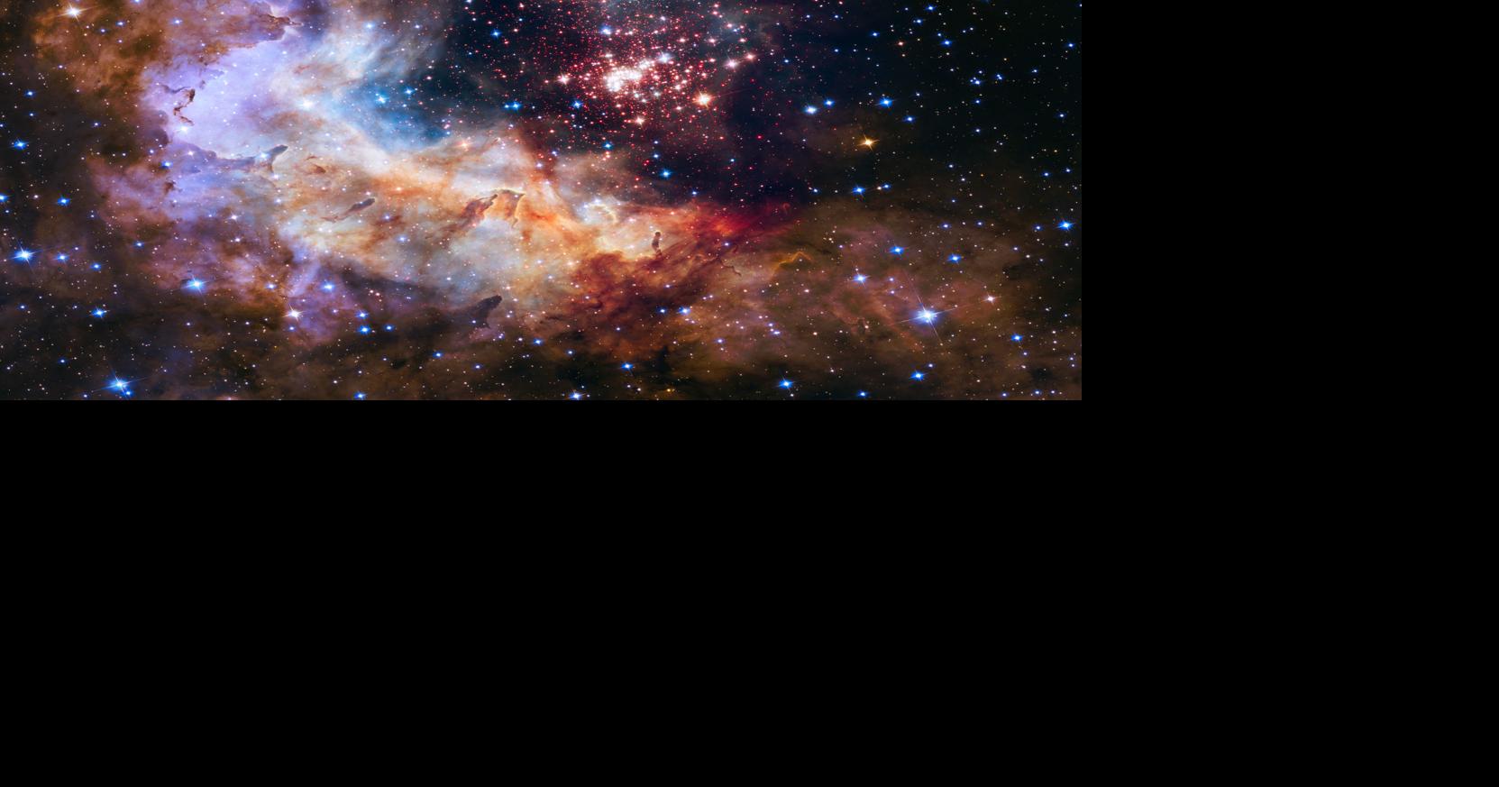 Why Cats Can Survive Falls From Great Heights