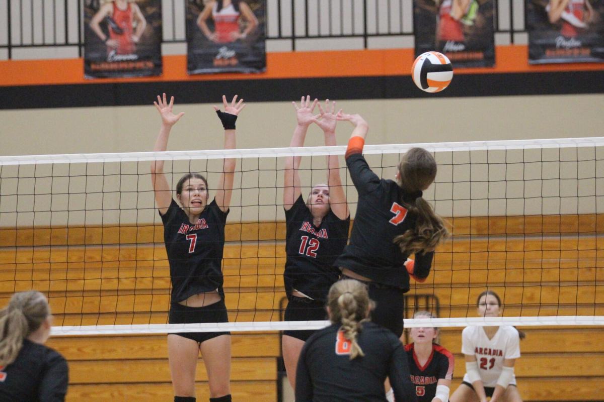 All-Tribune volleyball: Second team, honorable mention