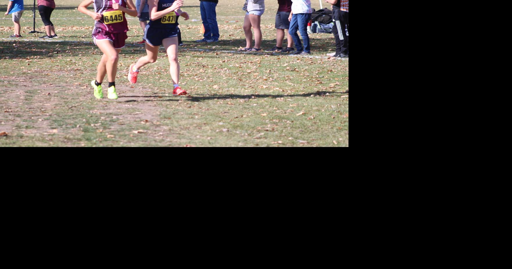 High school sports roundup: Holmen cross country teams record ...