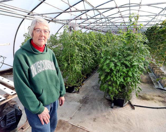 Tomatoes are always in season at The Tomato Patch in Melrose