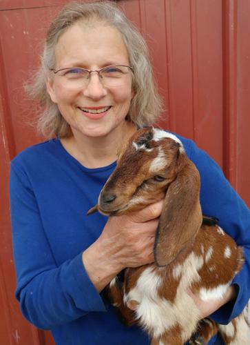 Julie Larson: That's more than just a goat