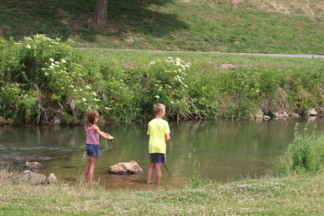 Coon Creek Trout Fest offers fishing and outdoor fun
