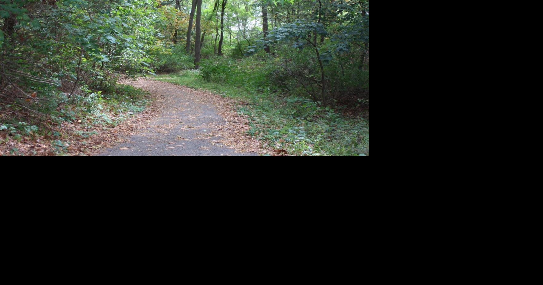 City of Viroqua to do maintenance work on Park Bowl, Eckhart and Bigley ...