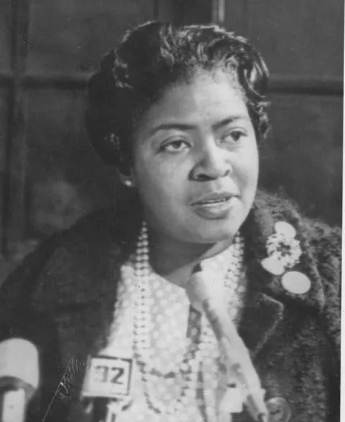 Women who advocate for equity, diversity and inclusion: Dorothy Lee ...
