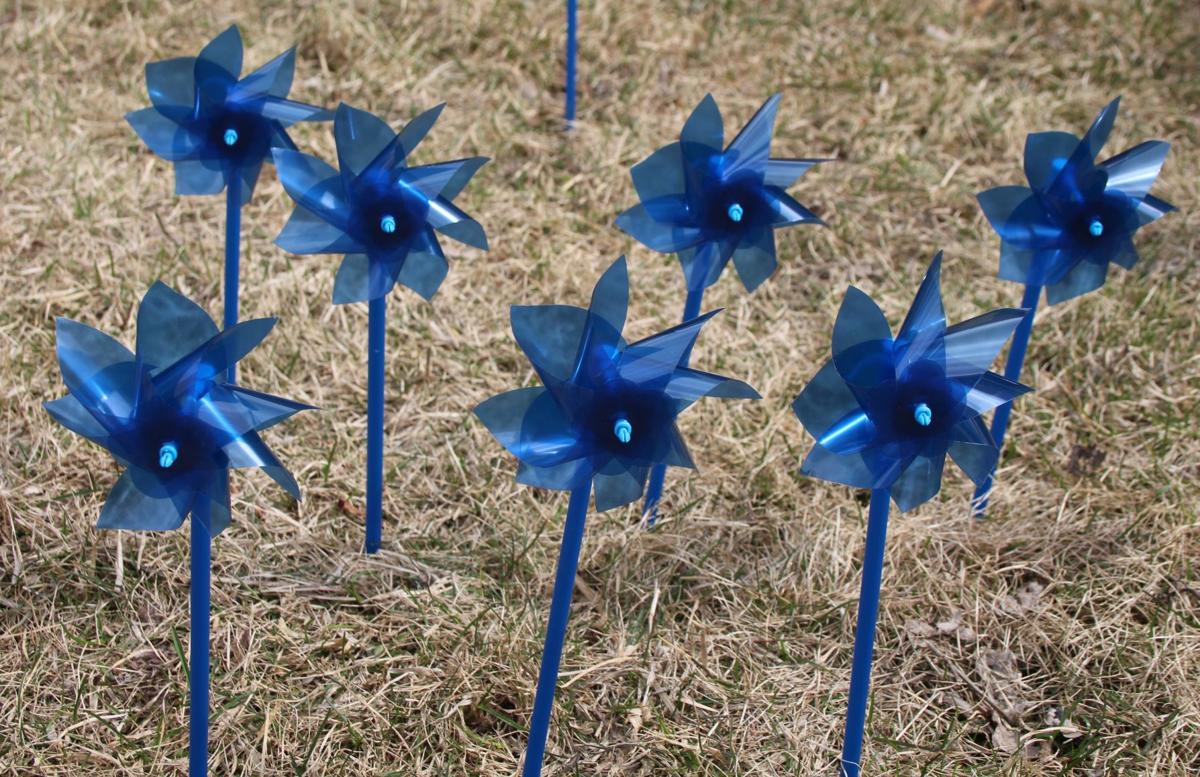 Vernon County pinwheel events create awareness of child abuse, neglect ...