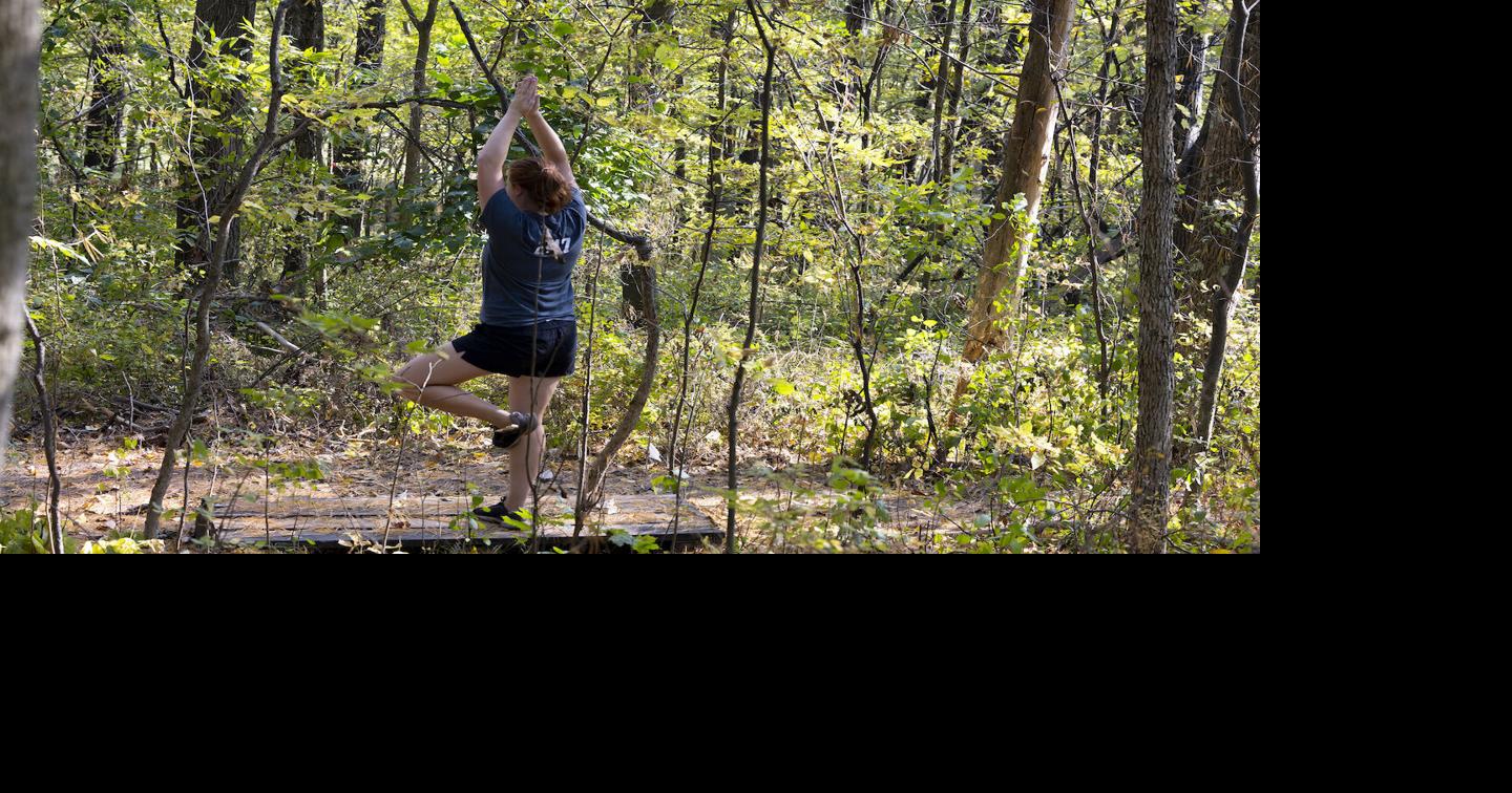 Hixon Forest guided-audio, forest-bathing walk Saturday