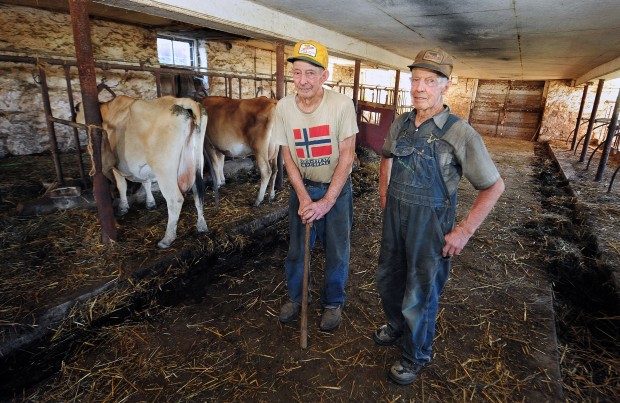 Ernest and Joseph Haugen preserving a tradition on the farm