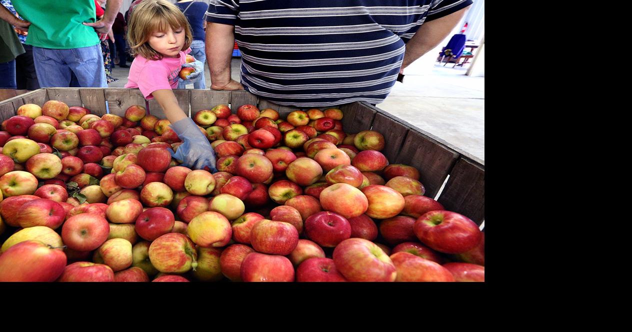 Life is sweet at Van Lin Orchards