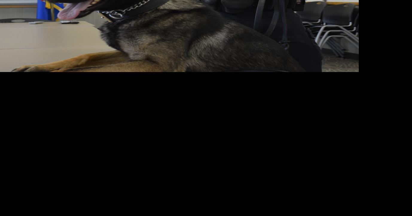Viktor joins the Tomah Police Department