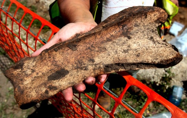 Road to discovery: Construction unearths native settlement, bones