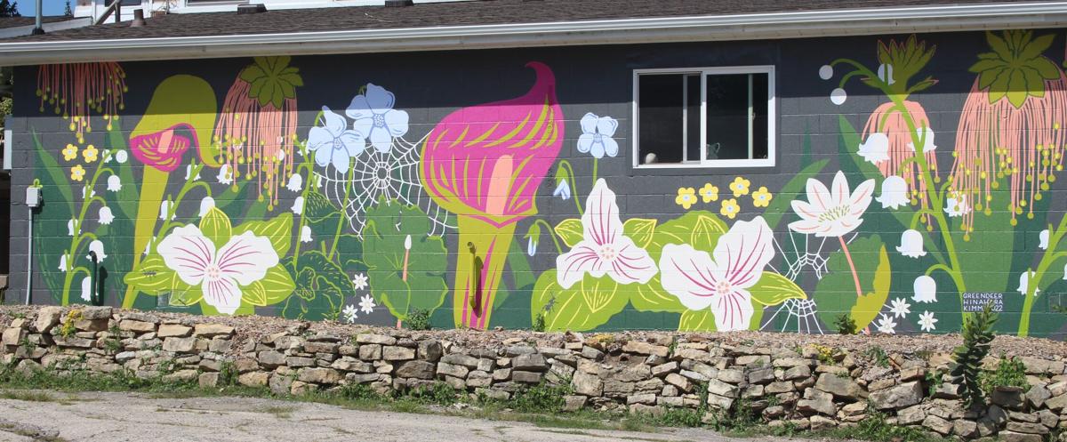 Viroqua to celebrate its newest mural with a reception honoring the ...