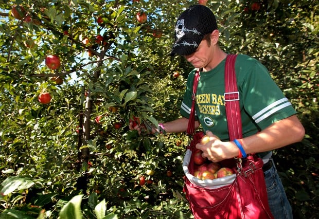 Rural Cashton apple orchard is family affair